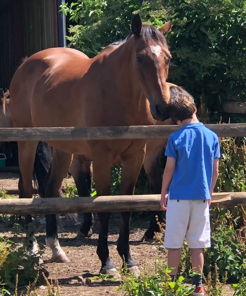 Meet Hugo Boss – Equine EARTH